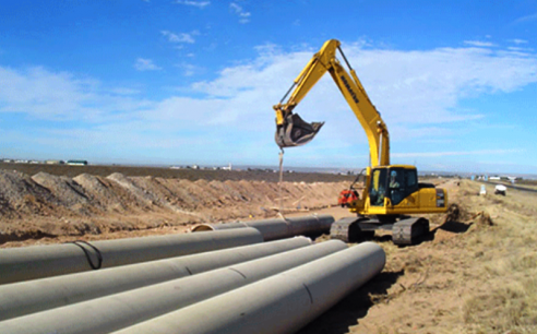 La burlanda como un alimento proteico y accesible – Rural al día