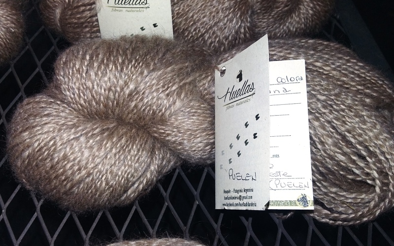 Fortaleciendo a la cabra colorada con la elaboración de cashmere ...