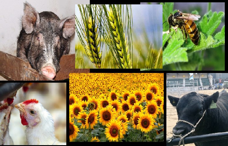 2º Jornada interdepartamental «Calidad de Productos Primarios» – Rural ...