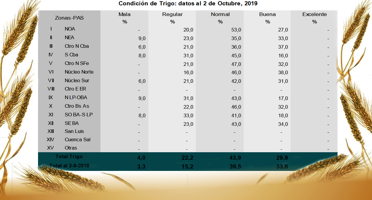 El trigo: Sin agua y con frío – Rural al día