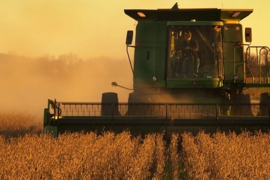 La cosecha de soja 2024/2025 creció 3,5% – Rural al día
